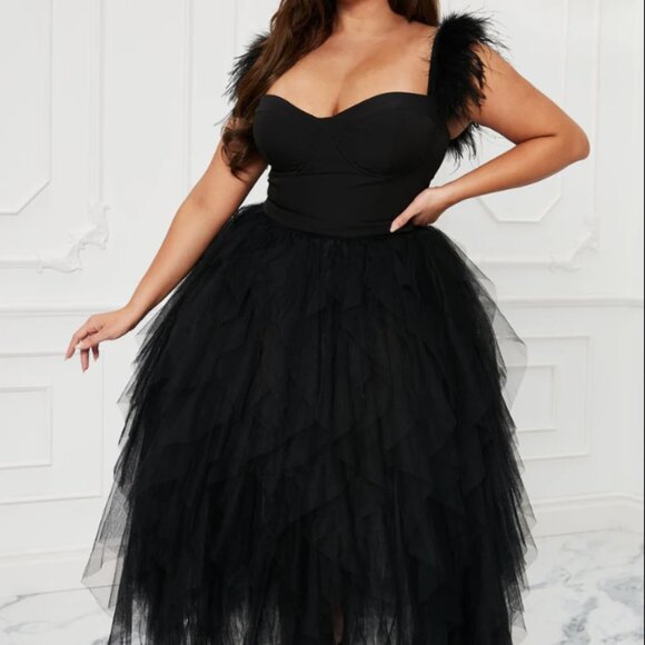 Fashion Nova | Dresses | Fashion Nova Goth Raven Camilla Tulle Maxi ...